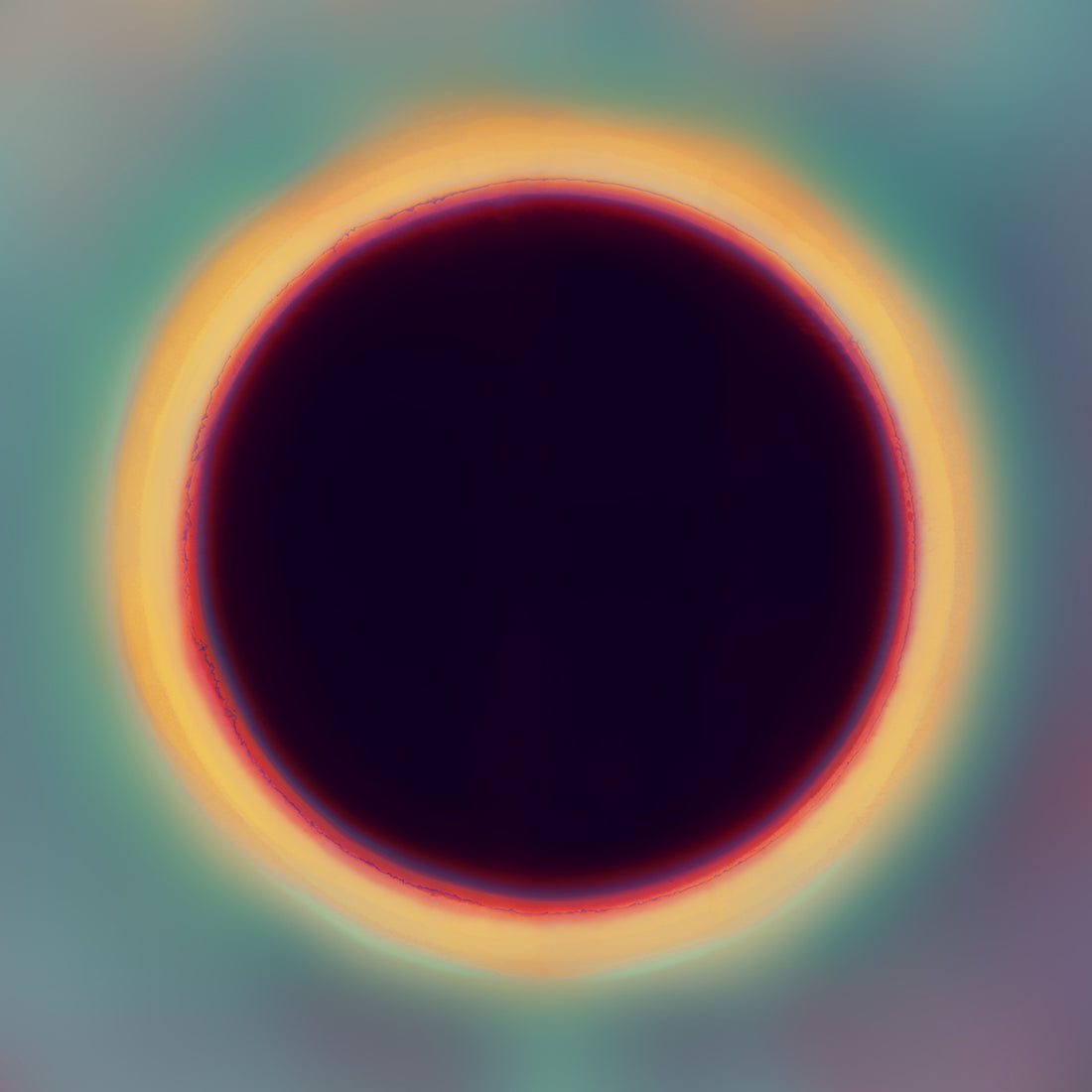 David Mitchell, Perihelion 11, 2022 – Jim-kempner-fine-art